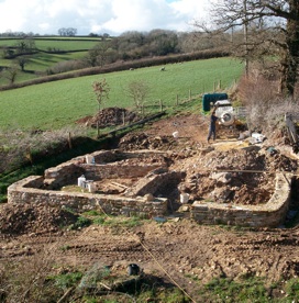 DAVID JOYCE COB & LIME SPECIALISTS