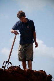 DAVID JOYCE COB & LIME SPECIALISTS